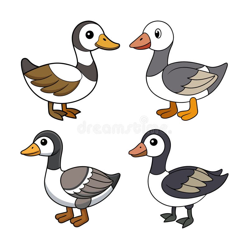 Barnacle Goose Coloring Illustration with Outline Stock Vector ...