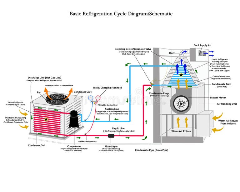 Basic Refrigeration Cycle Illustration with Process Stock Illustration ...