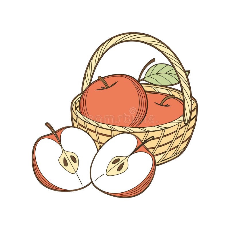 Apples in a Basket with Sliced Apple Illustration Stock Photo ...