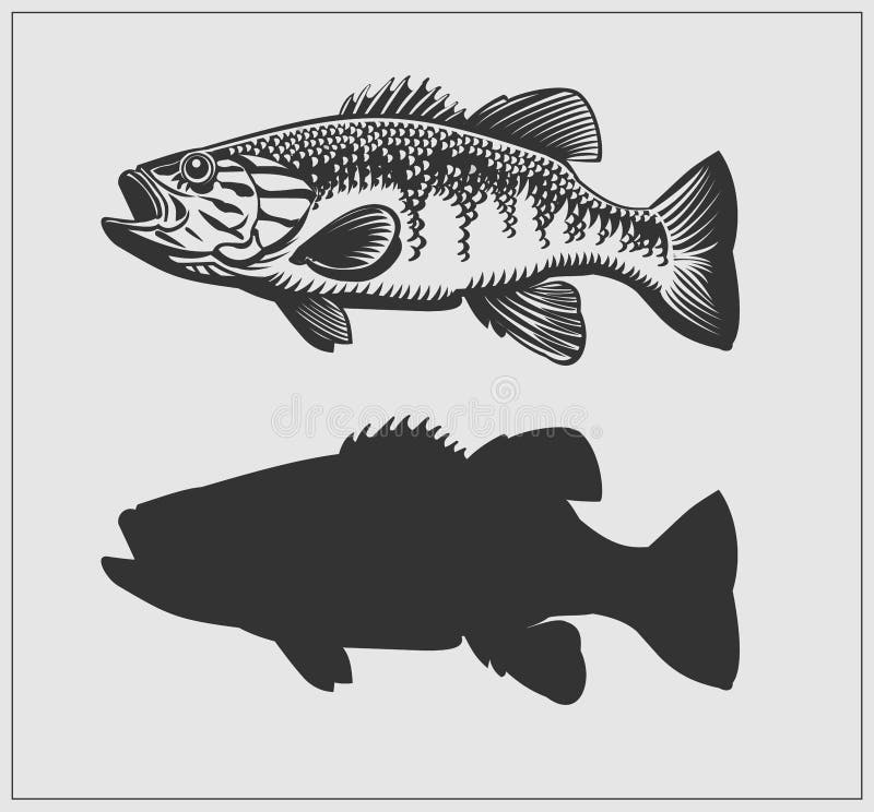 Largemouth Bass Black White Stock Illustrations – 476 Largemouth Bass ...