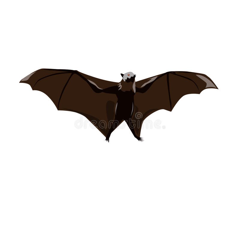 Illustration of a Bat Flying with Wings Spread at Night Stock ...