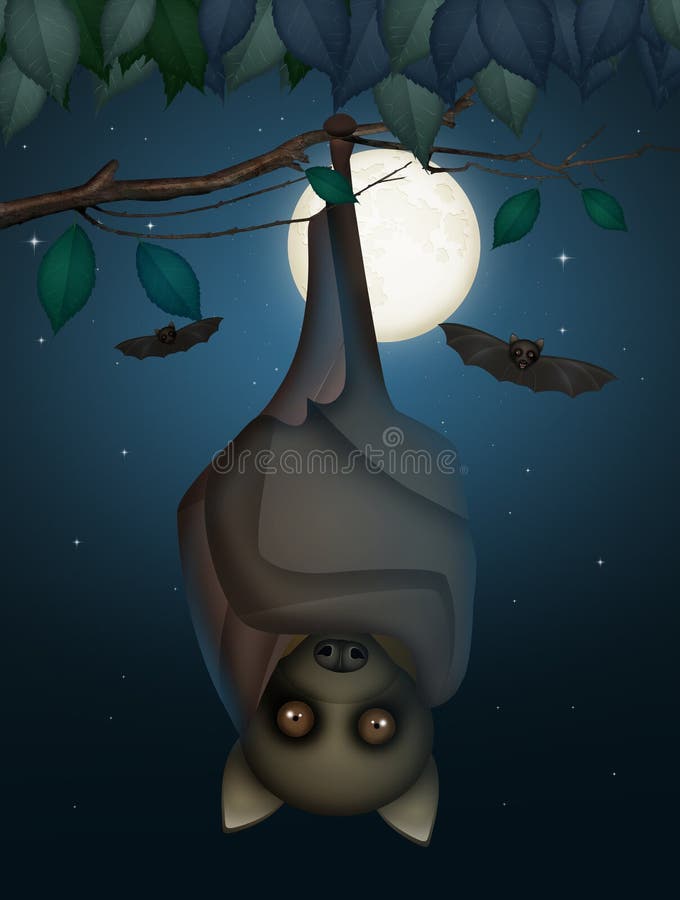 Illustration of Bat Hanging in the Halloween Night Stock Illustration ...