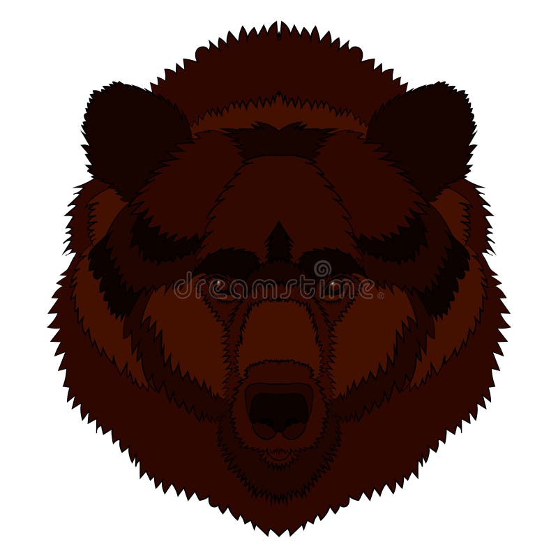 Illustration of a Bear S Head. Vector Graphics Stock Vector ...