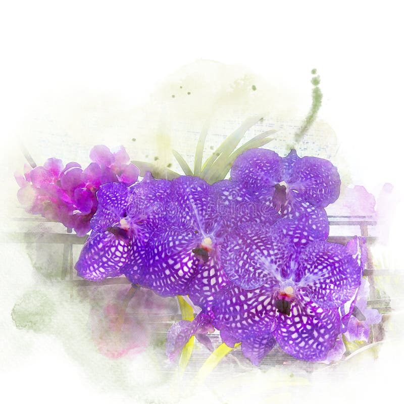 Beautiful Blossom Flowers Stock Vector Illustration Of Flower 1997738
