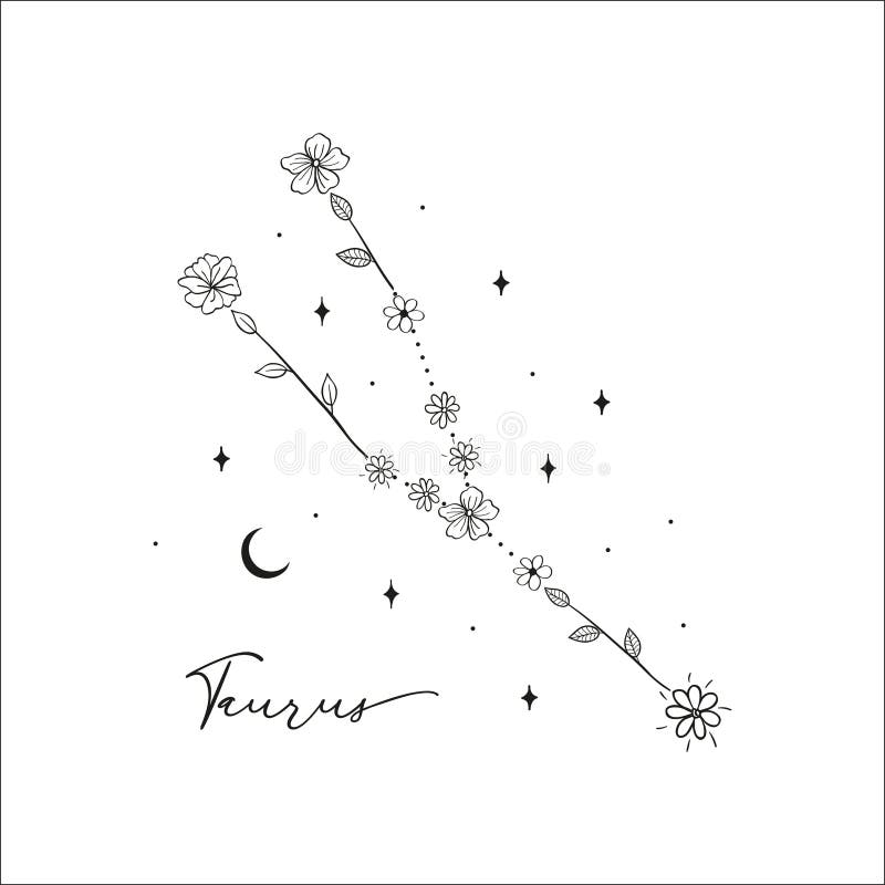 Taurus Constellation with Hand Drawn Doodle Flowers, Leaves, Florals ...