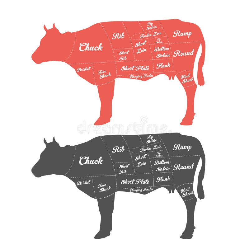 Illustration of Beef Cuts Chart (cow) Stock Vector - Illustration of ...