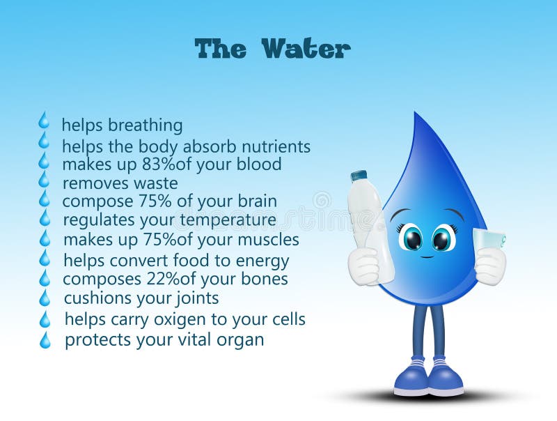 Benefits Drinking Water Stock Illustrations 127 Benefits Drinking