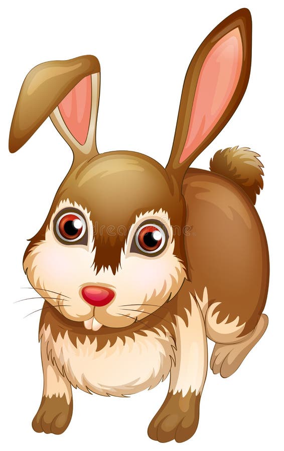 A big brown bunny stock vector. Illustration of teeth - 30056090