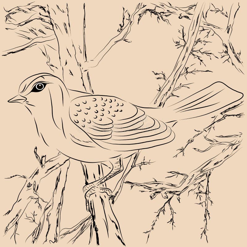 Illustration of Birds in the Forest. Stock Vector - Illustration of ...