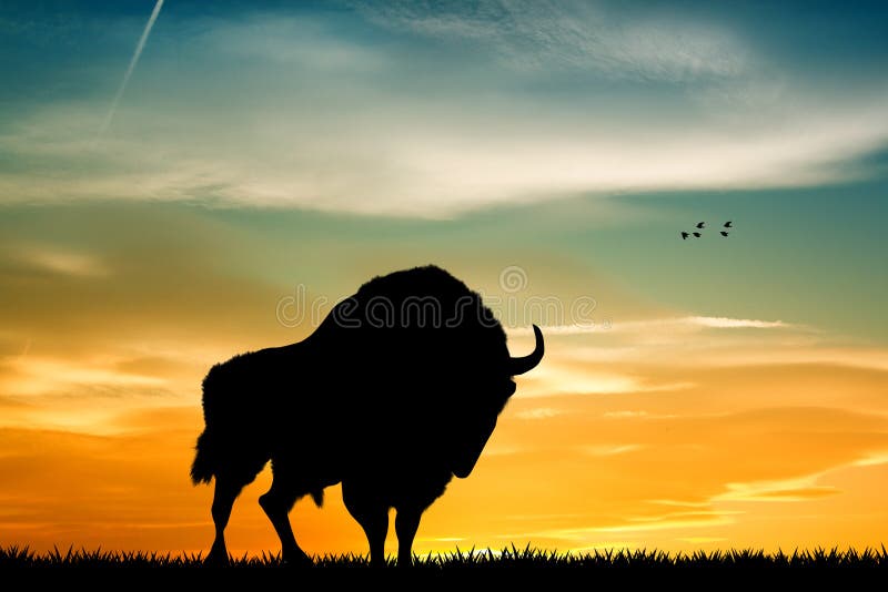 Bison by sunset- 3D render stock illustration. Illustration of digital ...