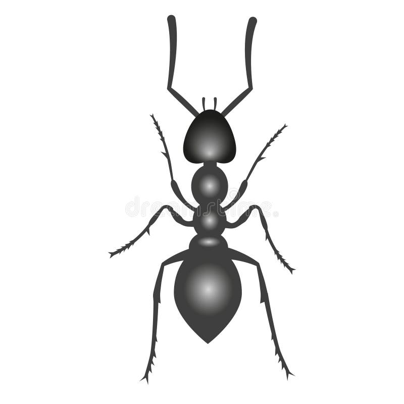 Ant Top View Stock Illustrations – 264 Ant Top View Stock Illustrations ...