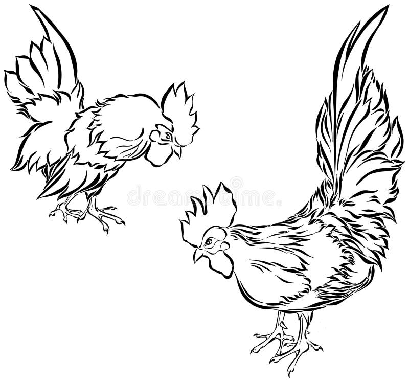 Illustration Black Silhouette of Chicken Feather Drawing Line Stock ...