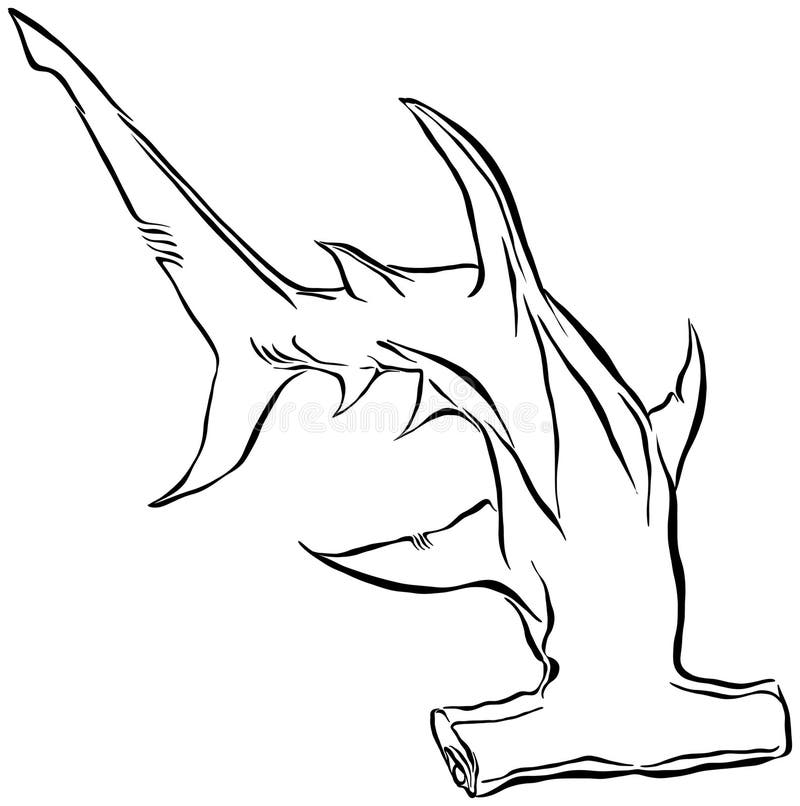 Illustration of Black Silhouette of a Hammerhead Shark Drawing Line ...