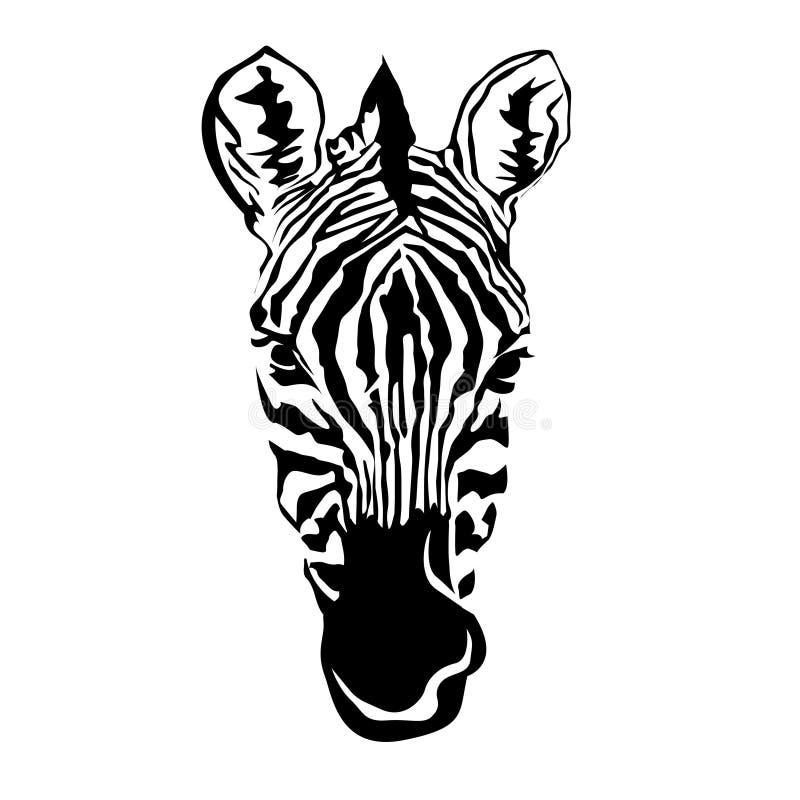 Illustration - Black and White Linear Paint Draw Zebra Illustration ...