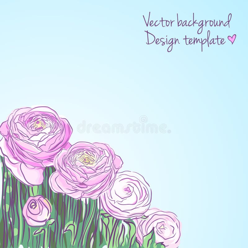 Illustration with Blooming Ranunculus Stock Vector - Illustration of ...