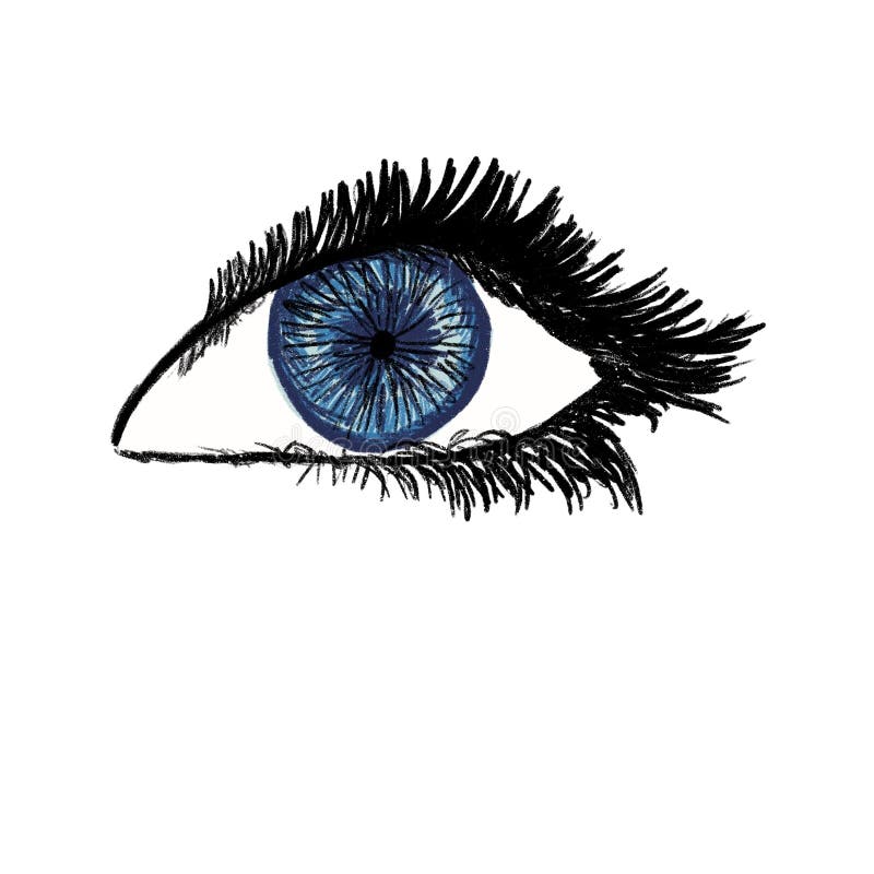 Illustration of a Blue Human Eye on a White Background Stock ...