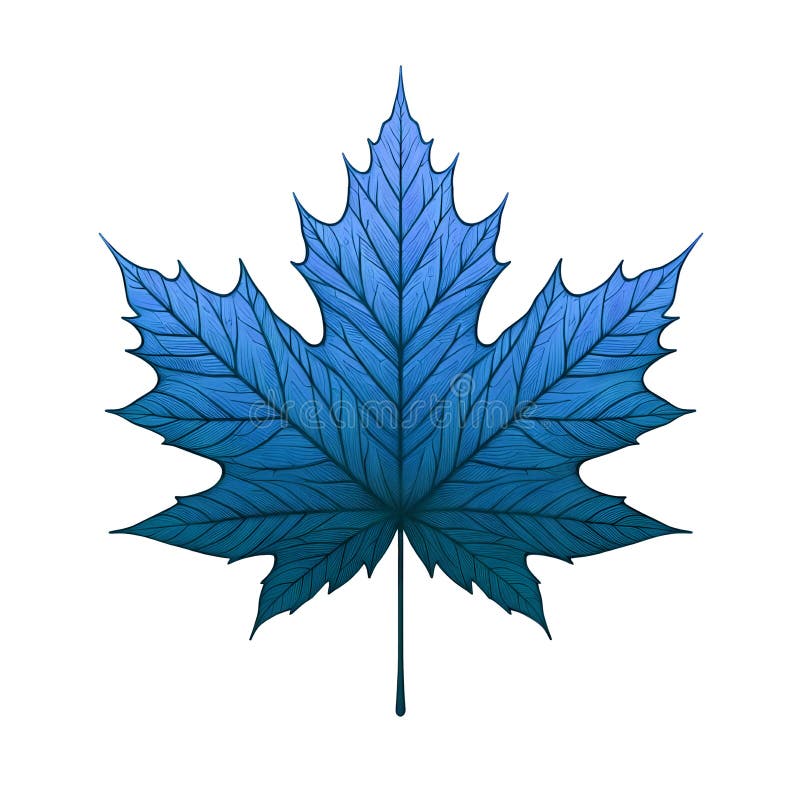 Illustration of a Blue Maple Leaf Stock Illustration - Illustration of ...