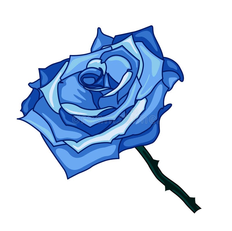 Illustration of blue rose stock vector. Illustration of flora - 63716705