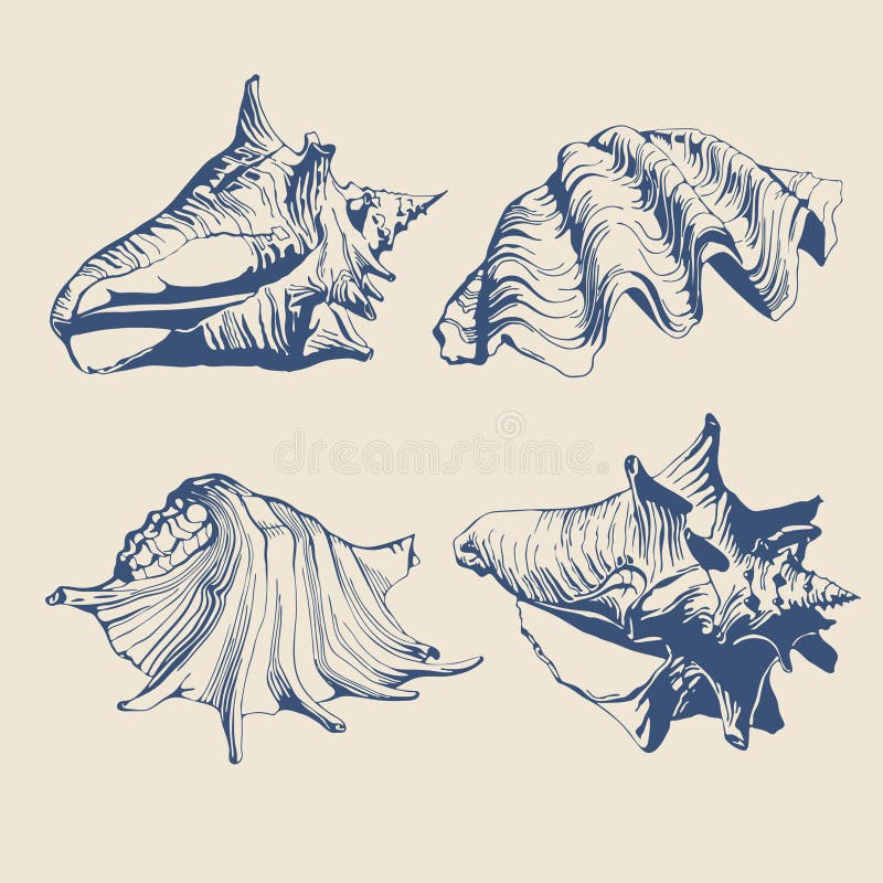 Blue Seashell Stock Illustrations – 14,092 Blue Seashell Stock ...
