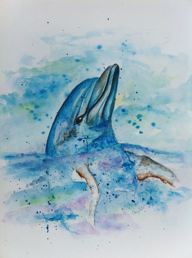 Hand Painted Dolphin Watercolor Stock Illustration - Illustration of ...