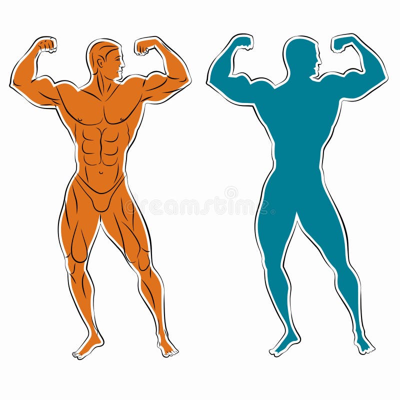 Illustration of Bodybuilder , Vector Drawing Stock Vector ...
