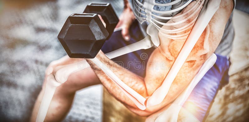 Illustration of Bones and Muscles of Man while Exercising Stock Image ...