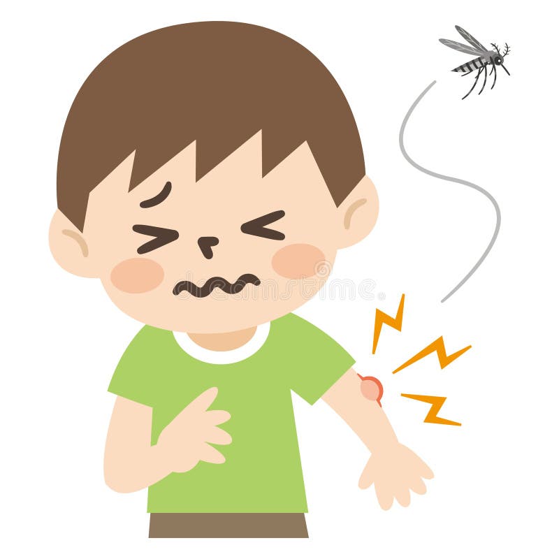 Clipart Bite Mosquito 6 Common Mosquito Types: What Attracts