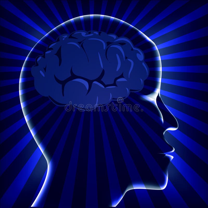 Neurons in the Brain stock vector. Illustration of design - 49886130