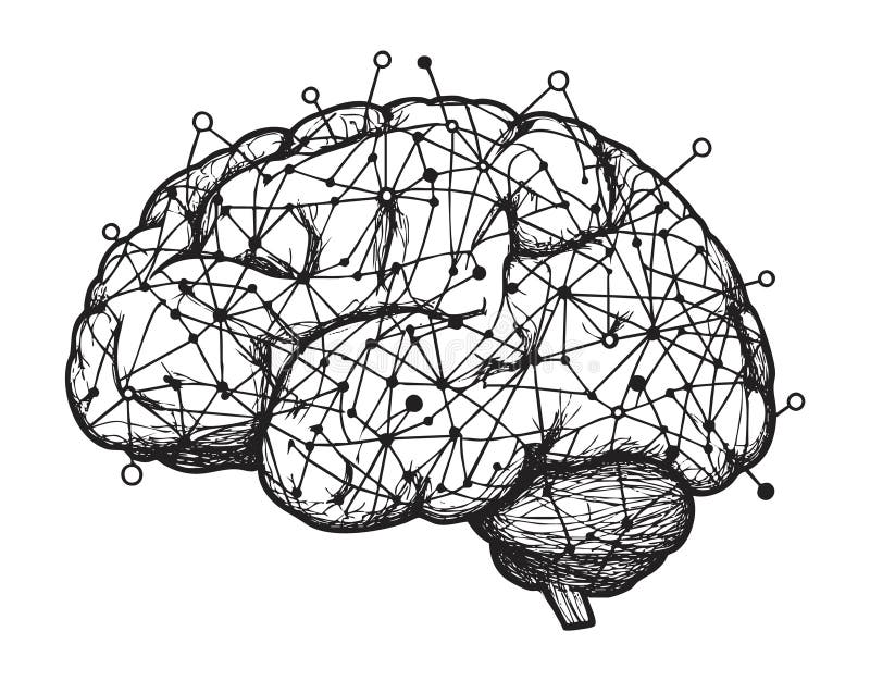 Illustration of a Brain with Interconnected Neural Network Lines. Stock ...