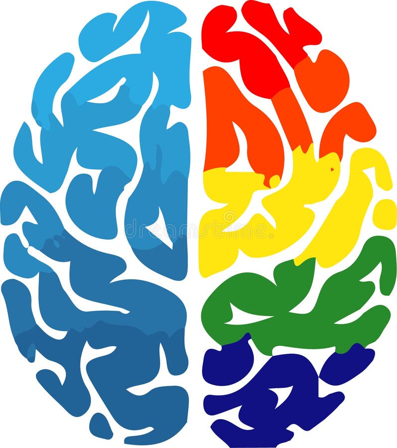 Illustration of the Brain Stylized by Coloring. Stock Illustration ...