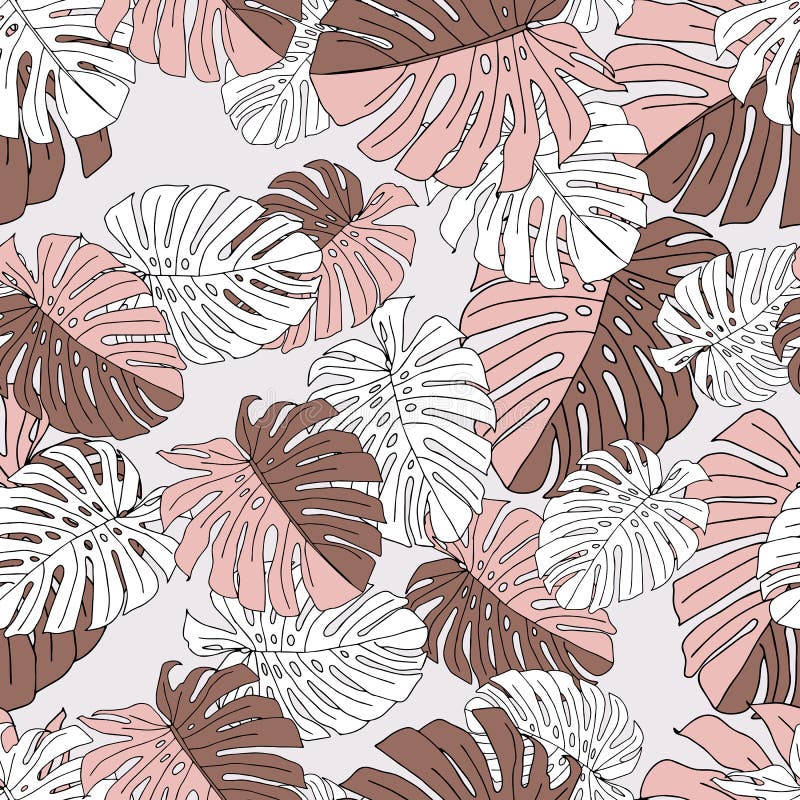 Illustration of Brown Leaves Monstera Isolated on a Pink Background ...