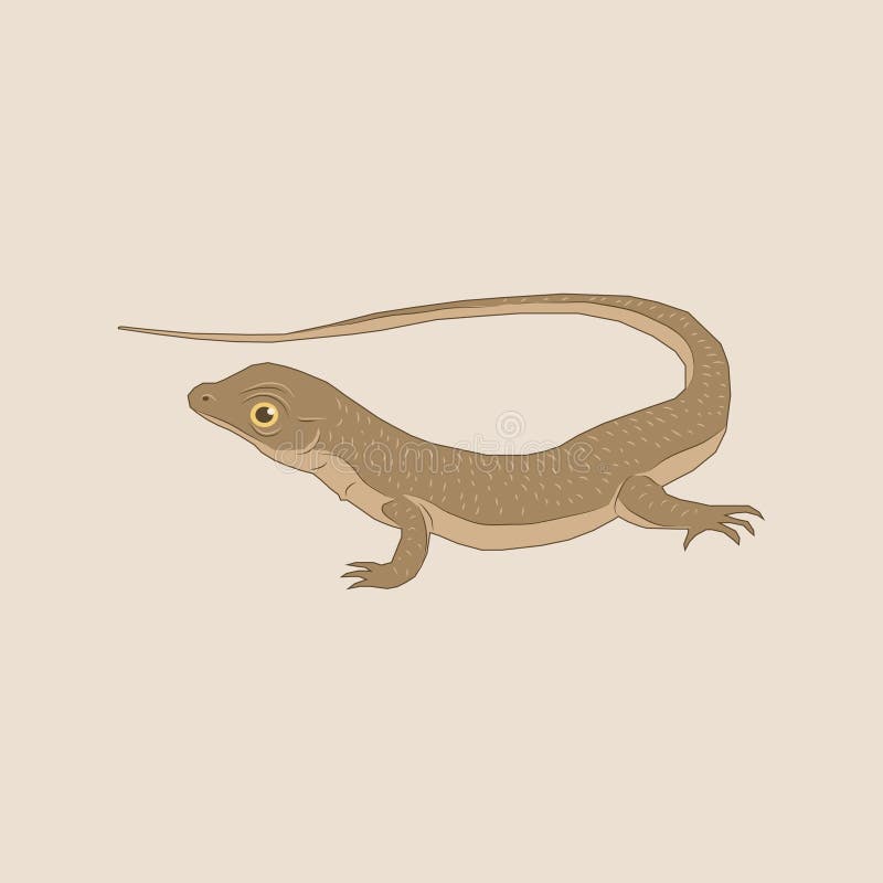 Illustration of a Brown Lizard with a Long Tail Stock Vector ...