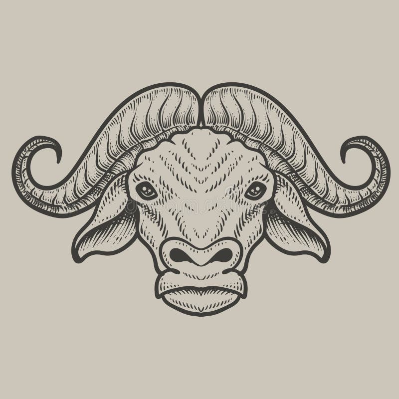 Illustration Buffalo Head with Engraving Style Stock Vector ...