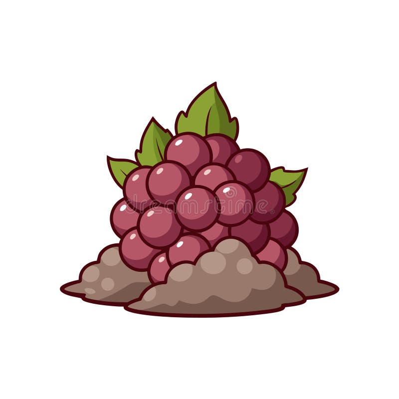 Illustration of a Bunch of Red Grapes with Leaves Stock Photo ...