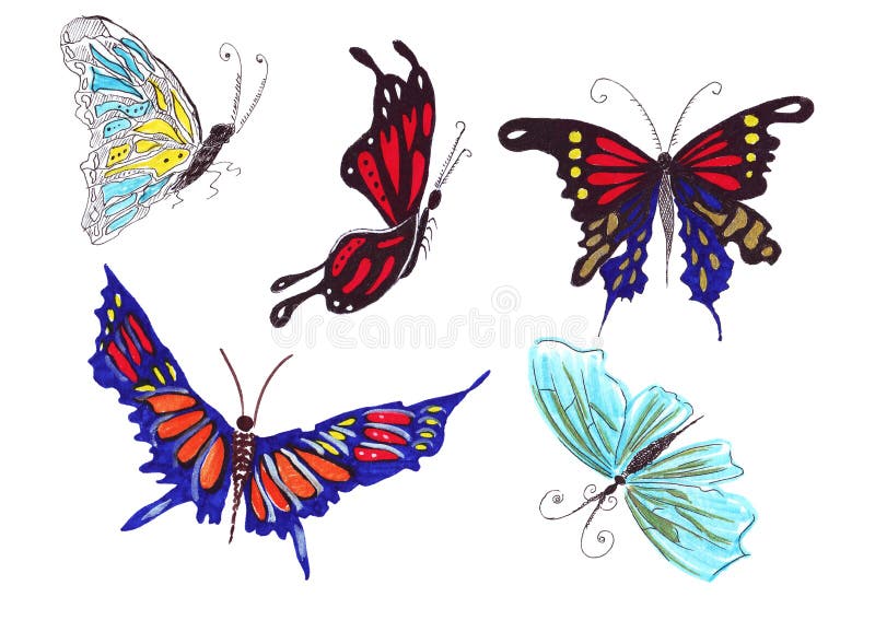 Illustration Butterflies of Different Shapes Stock Illustration ...