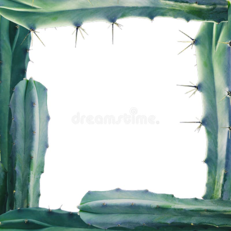 Illustration of Cactus Border Frame with Space for Text in the Middle ...