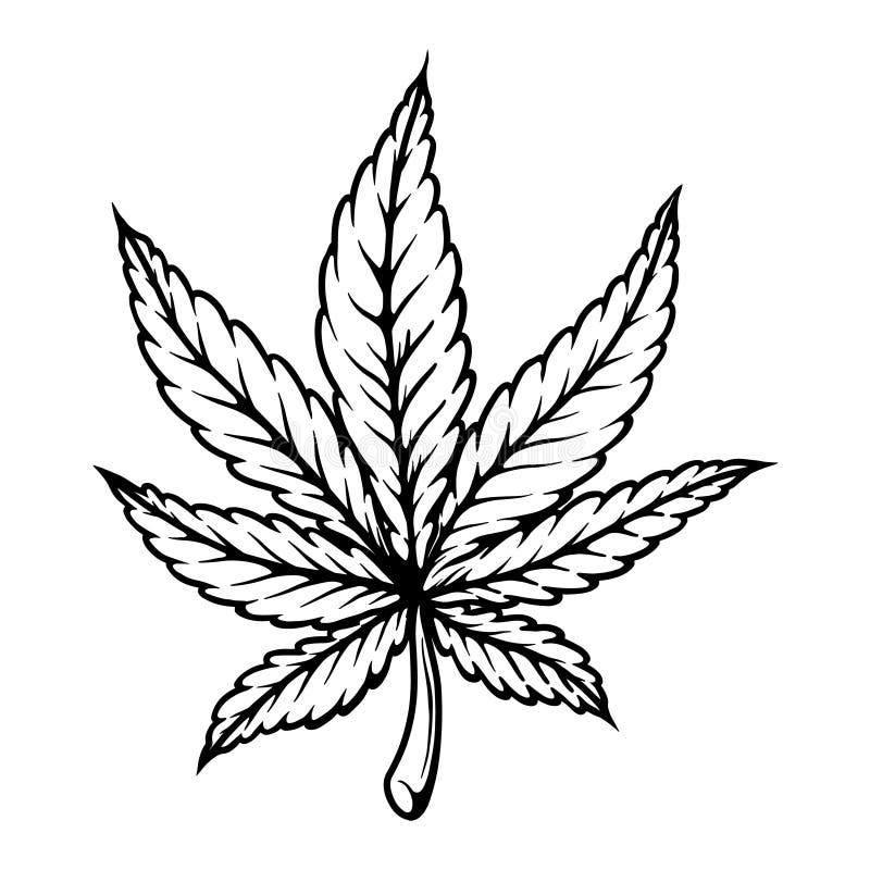 Illustration of Cannabis Leaf. Design Element for Poster, T Shirt, Sign ...