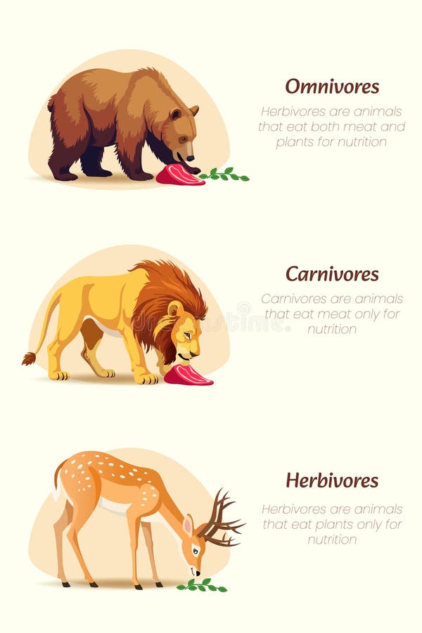 Herbivores Carnivores Omnivores Herbivores Carnivores Omnivores