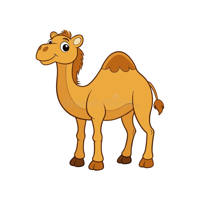 Cute Cartoon Camel Illustration Standing on a White Background Stock ...