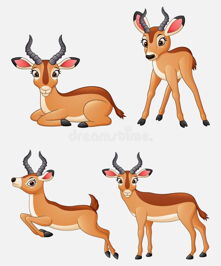 Cartoon Impala Collection Set Stock Illustration - Illustration of ...
