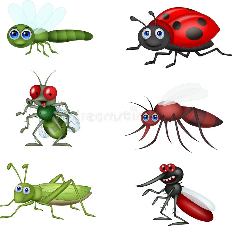 Cartoon insect icon set stock vector. Illustration of beetle - 13130750
