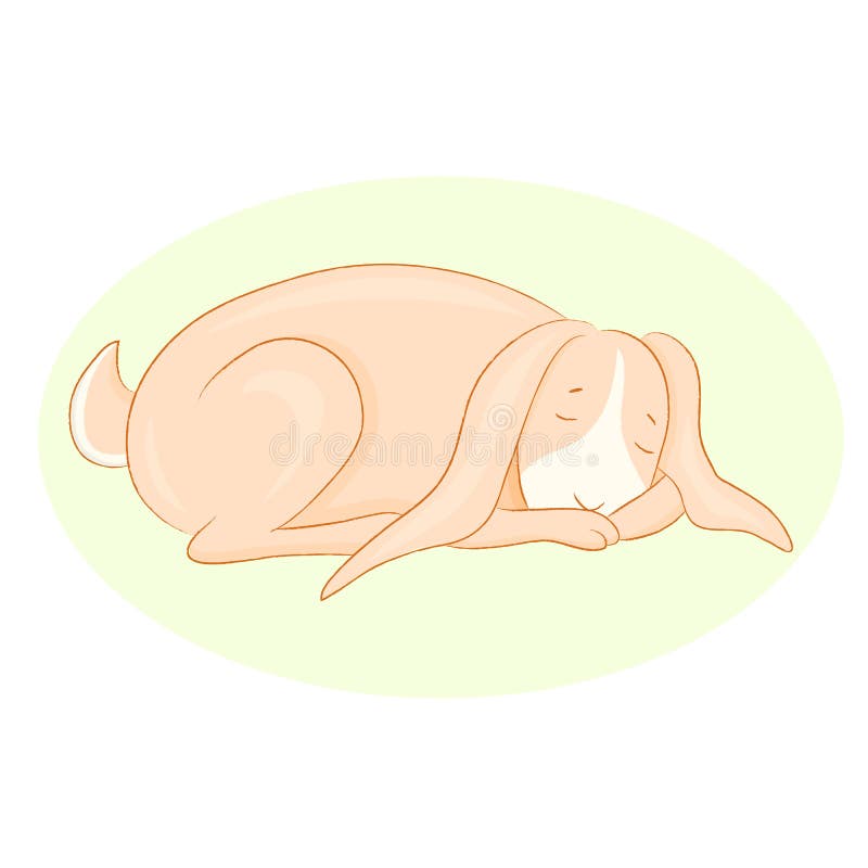 Sleeping rabbit stock vector. Illustration of drawing - 41893826