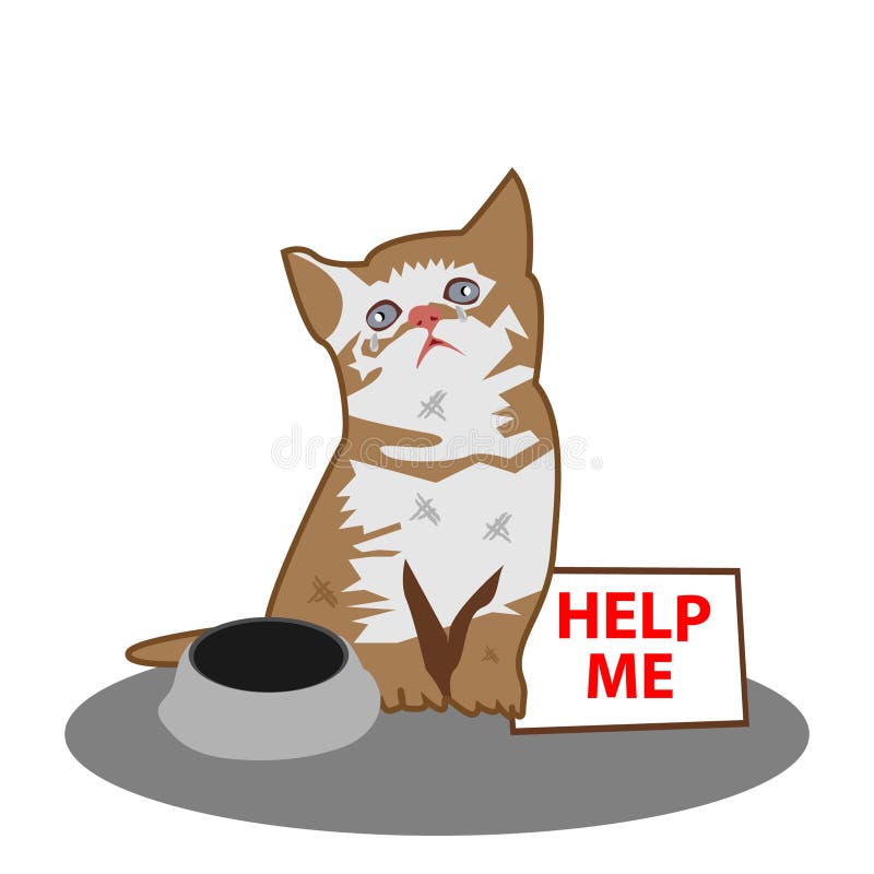Cat Asking Stock Illustrations – 355 Cat Asking Stock Illustrations ...