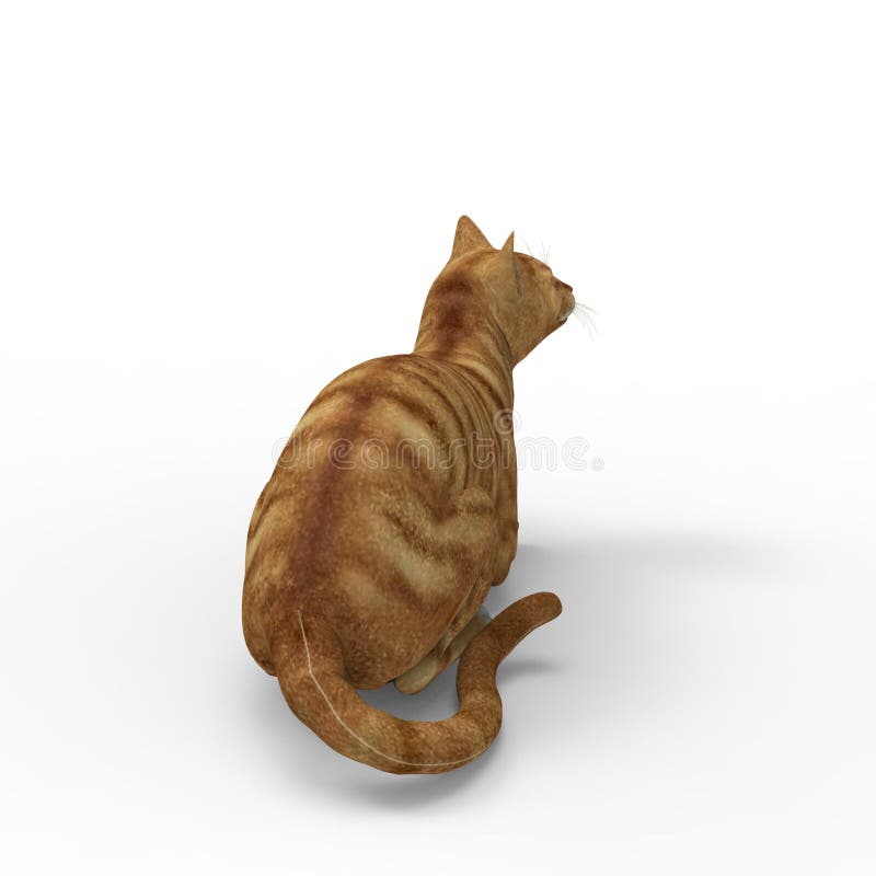 3d Rendering Of Cat Created By Using A Blender Tool Stock Illustration ...