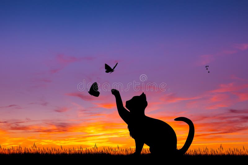Illustration of Cat at Sunset Stock Illustration - Illustration of ...