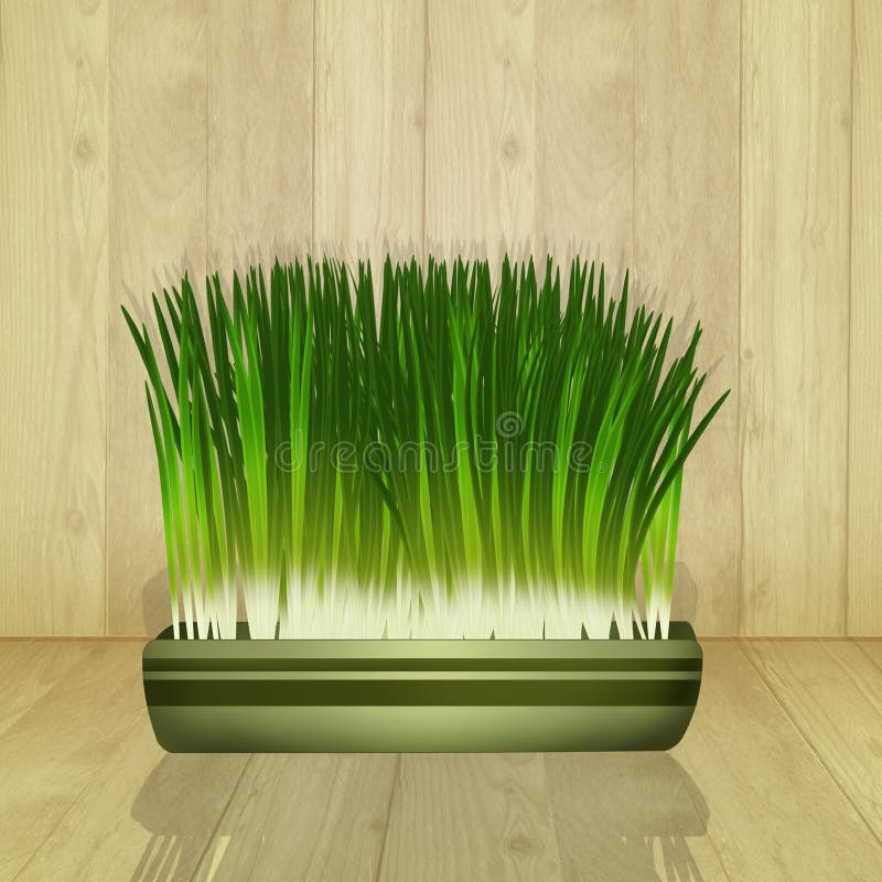 Illustration of catnip stock illustration. Illustration of healthy ...