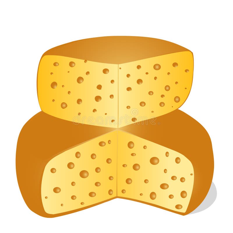 Cheese Cut into Pieces on a White Background Stock Vector ...