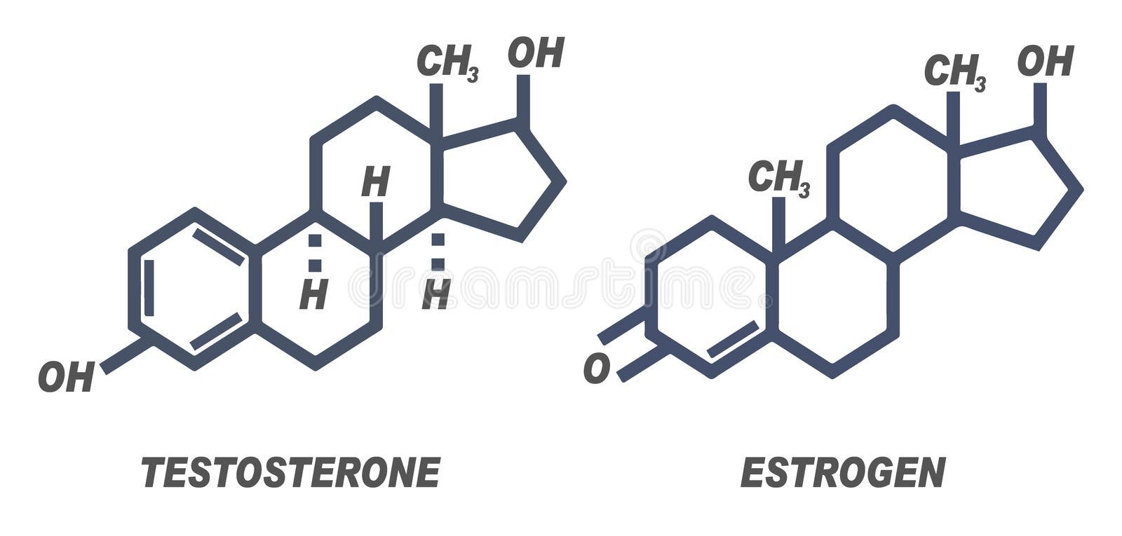 Testosterone And Oestrogen Molecula Structure Blue And Pink Line Icon
