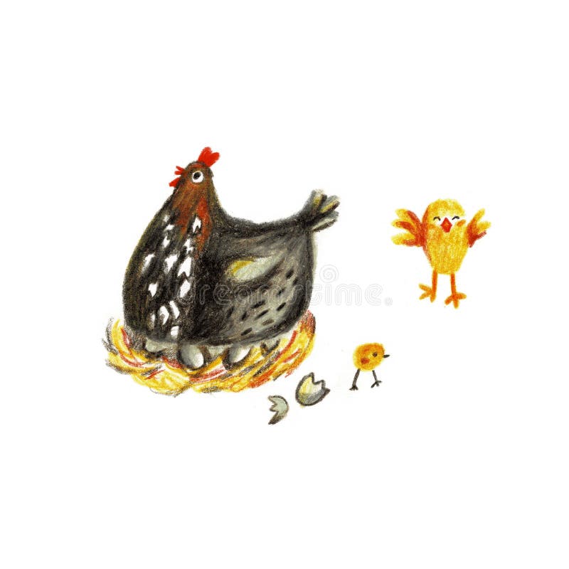 Chicken Egg Hatching Cartoon Illustration Image Stock Photo ...