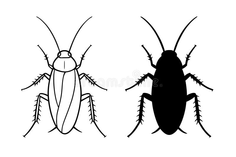Illustration of a Cockroach, Outline and Silhouette Versions Stock ...